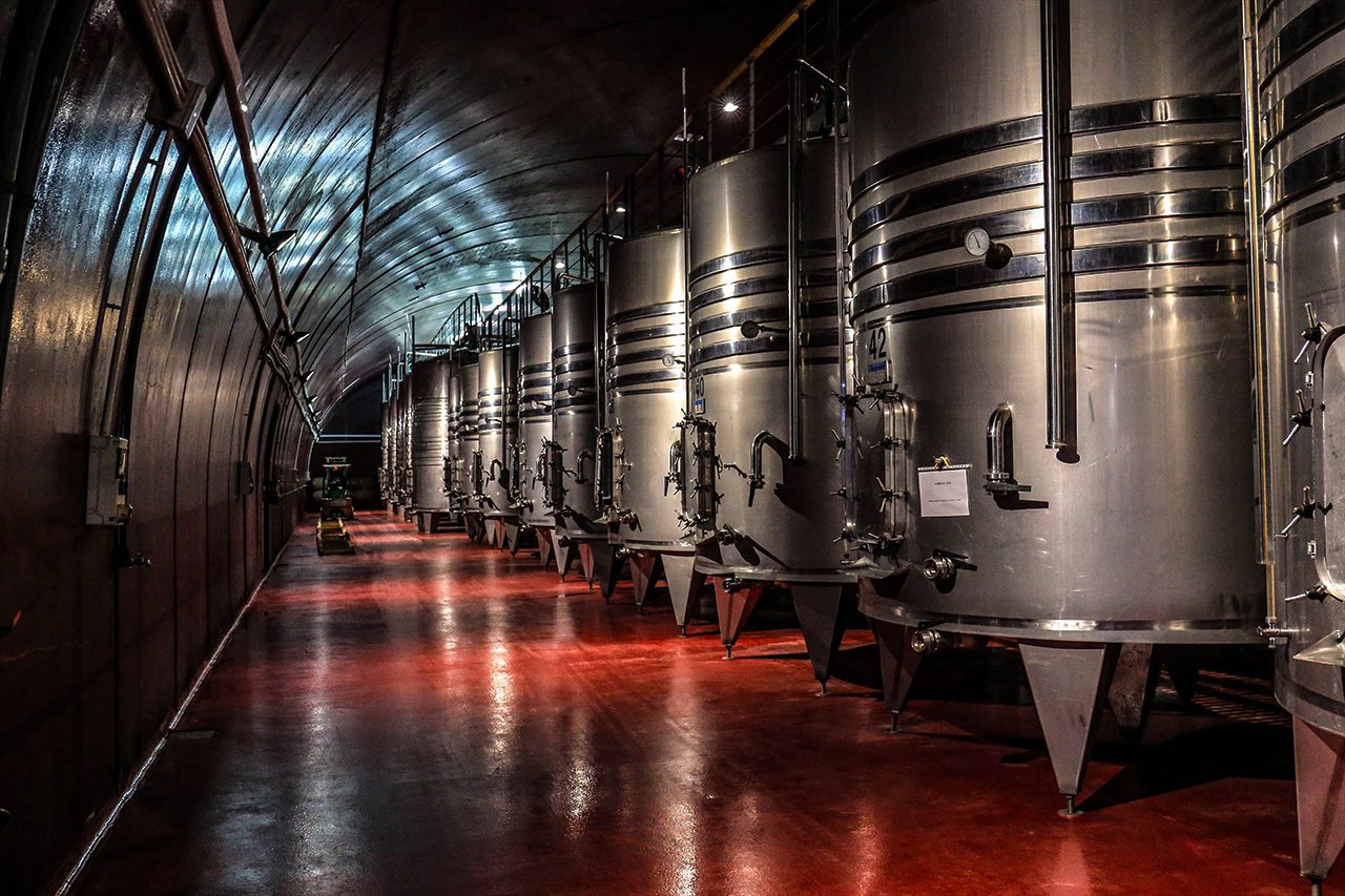 From Sugar to Steak: The Magic of Precision Fermentation | Impact ...