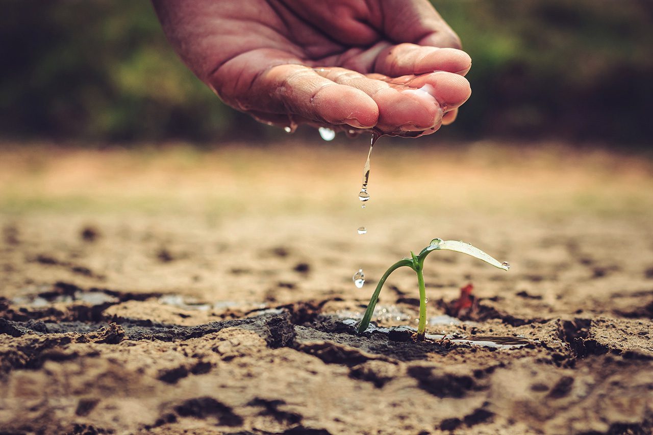 How To Find a Values-aligned Financial Advisor | Impact Entrepreneur