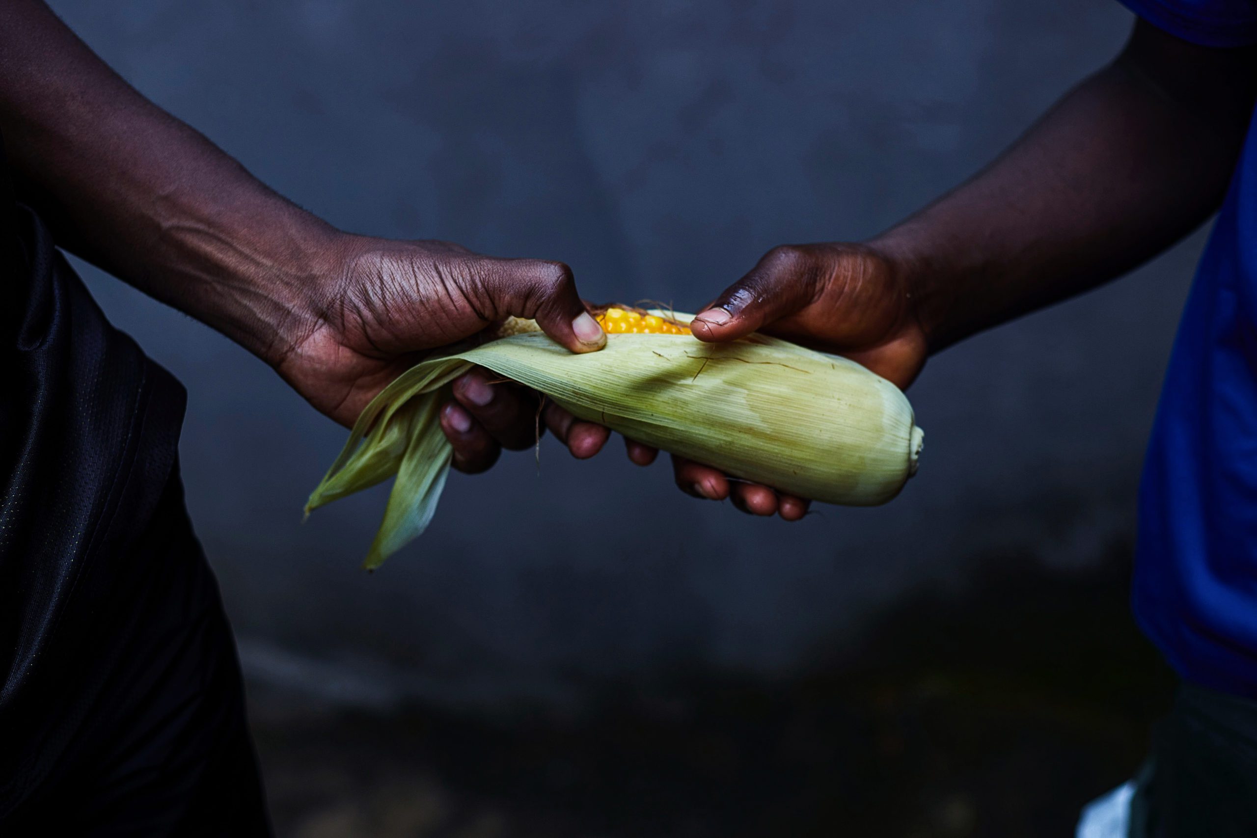 Unleashing Africa's Agricultural Potential | Impact Entrepreneur Unleashing Africa's Agricultural Potential | Impact Entrepreneur