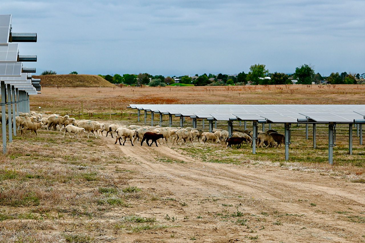 From Kilowatts to Kindness: Renewable Energy Access