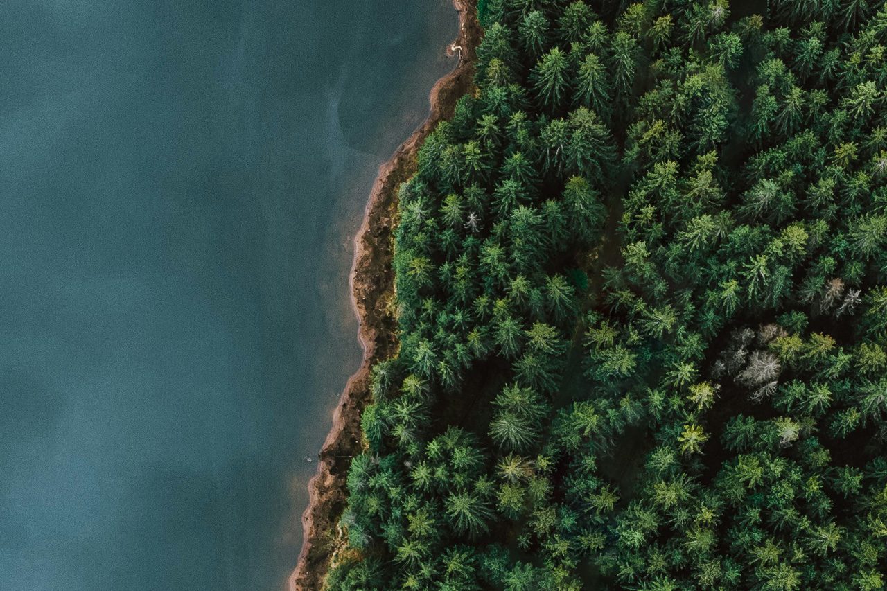 Earthshot Prize 2025 Applications for Nomination | Impact Entrepreneur