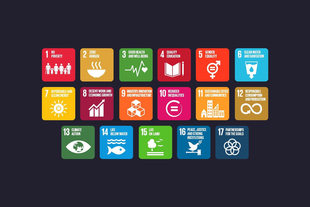 The SDGs That Investors Ignore | Impact Entrepreneur